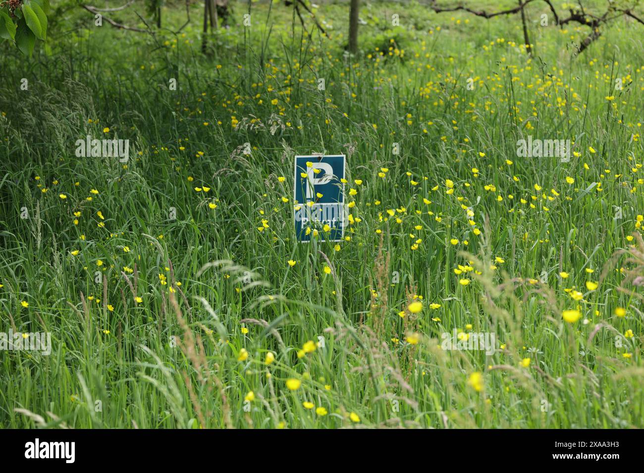 Sign for a parking lot has grown into grass Stock Photo - Alamy