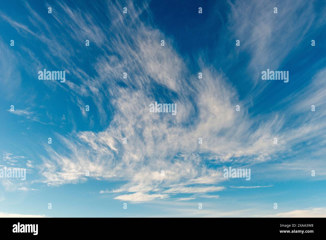Cirrus clouds high up in the atmosphere, Kiel, Schleswig-Holstein ...