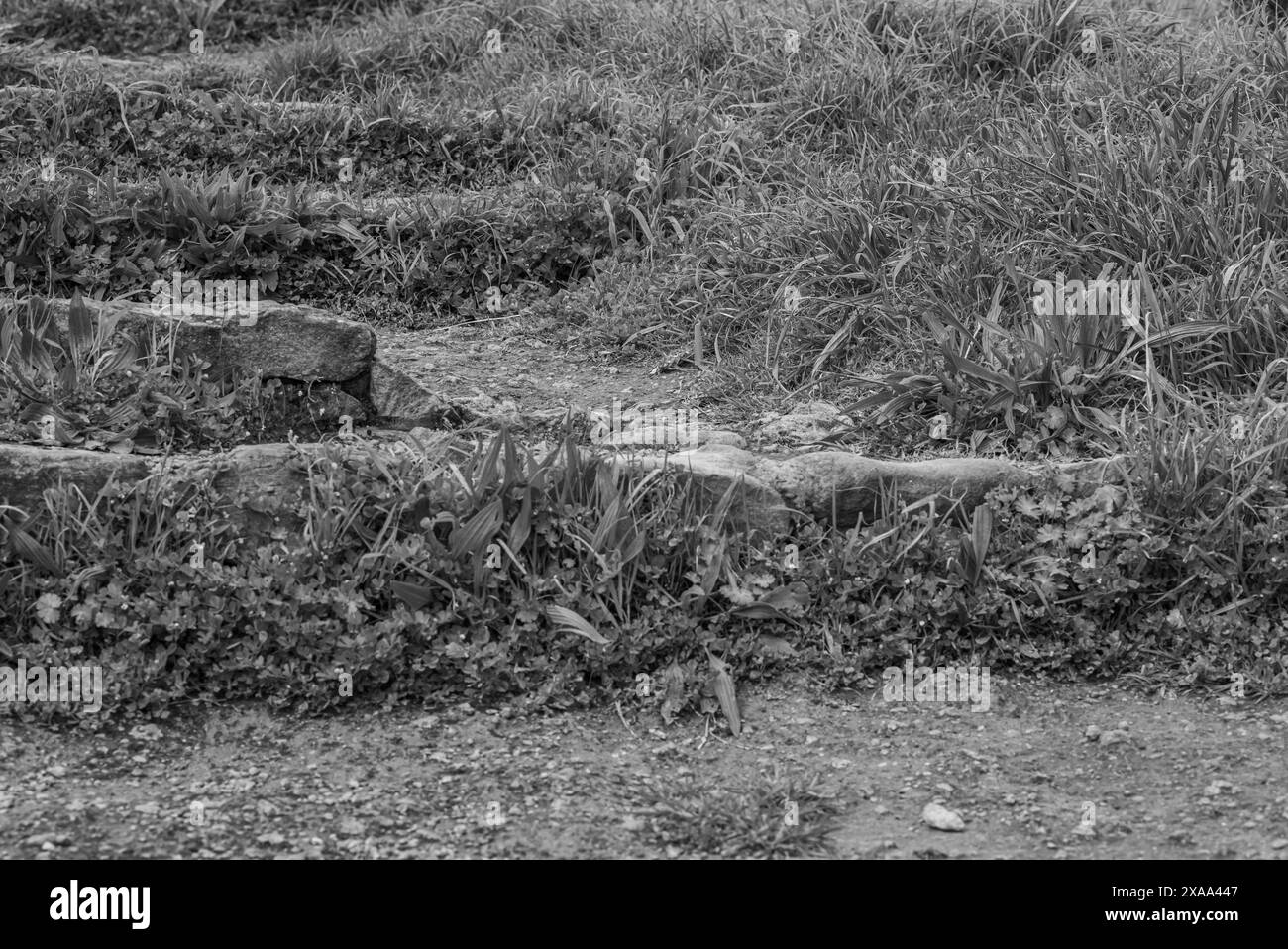 Walking on hiking trail Black and White Stock Photos & Images - Alamy