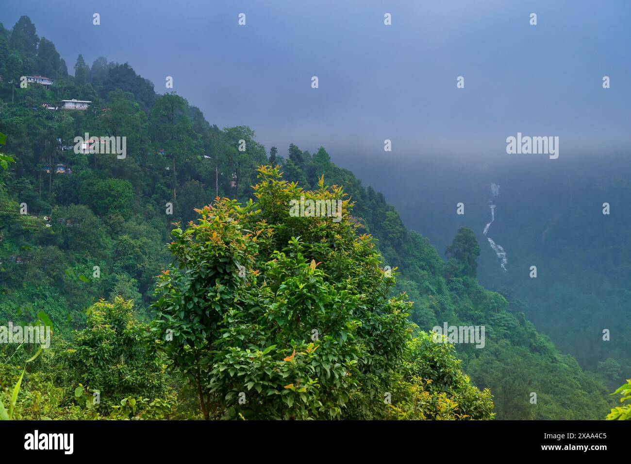 Himalayan mountains and lush green forest. Scenic natural beauty of ...