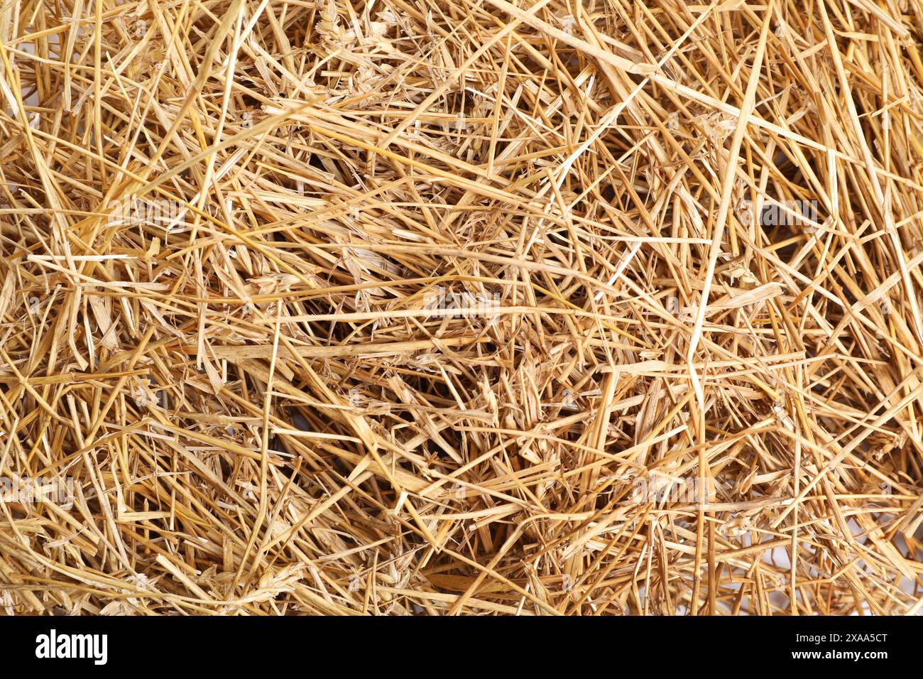 Dried straw as background, closeup. Livestock feed Stock Photo - Alamy