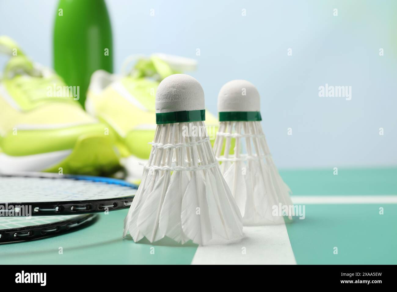 Feather badminton shuttlecocks and rackets on court, closeup Stock ...