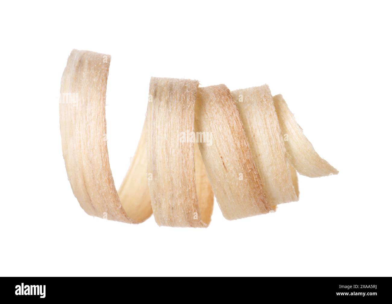 One shaving of wood isolated on white Stock Photo - Alamy