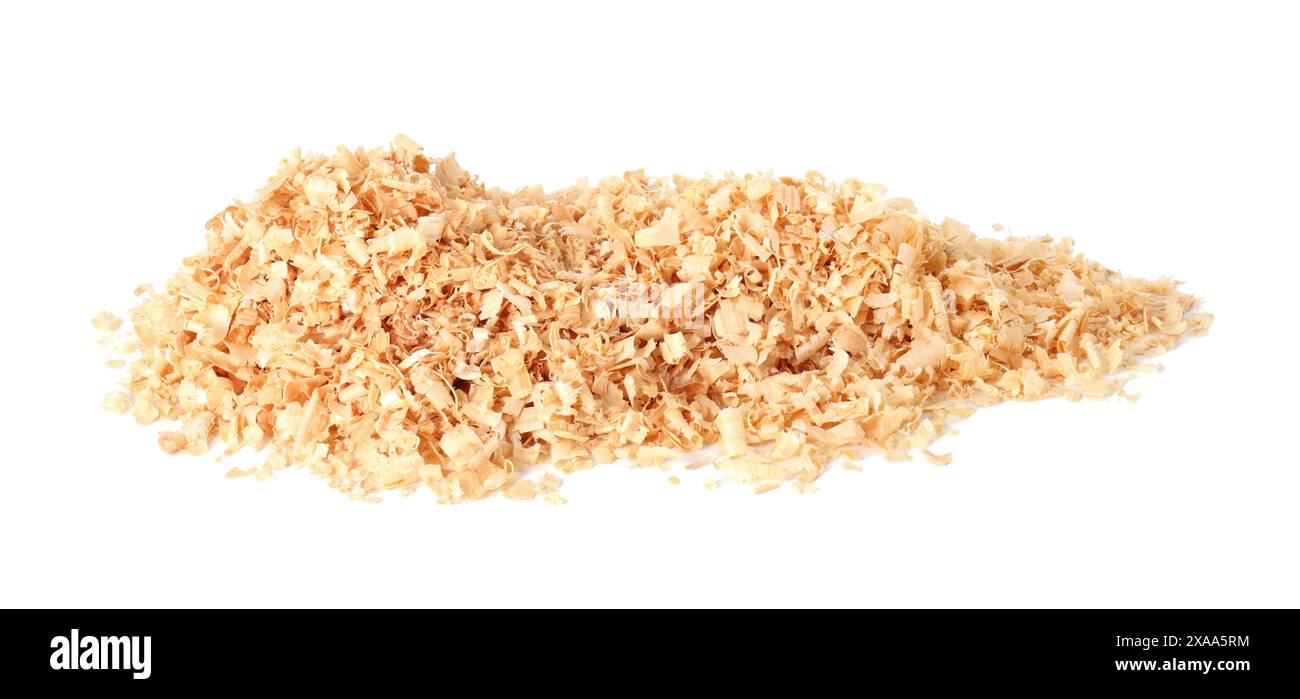 Forest natural waste Cut Out Stock Images & Pictures - Alamy