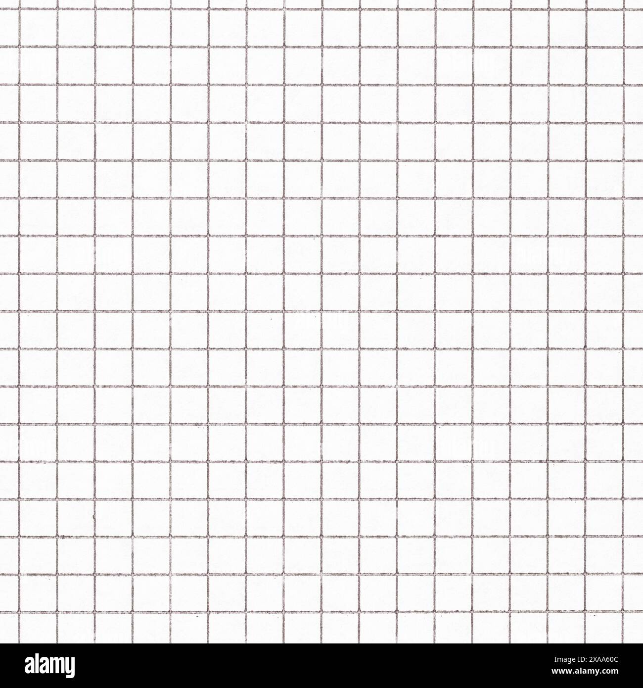 white sheet of paper background, checkered exercise book Stock Photo ...