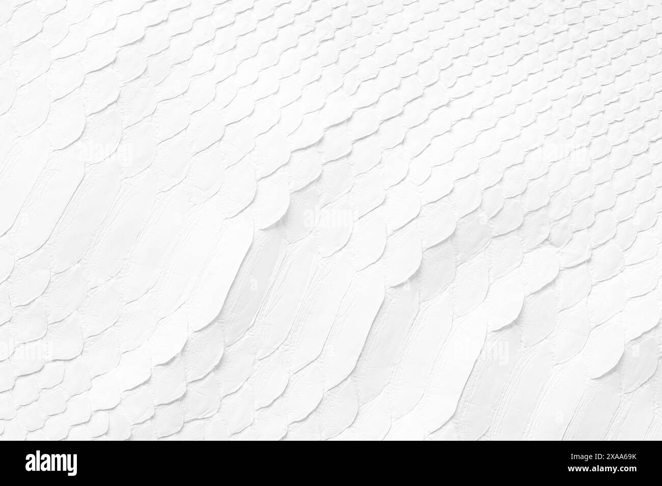 white snake skin texture with natural pattern, python leather surface ...