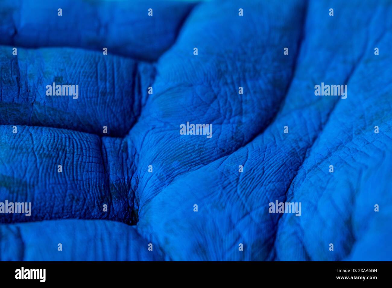 Hand skin blue color hi-res stock photography and images - Alamy