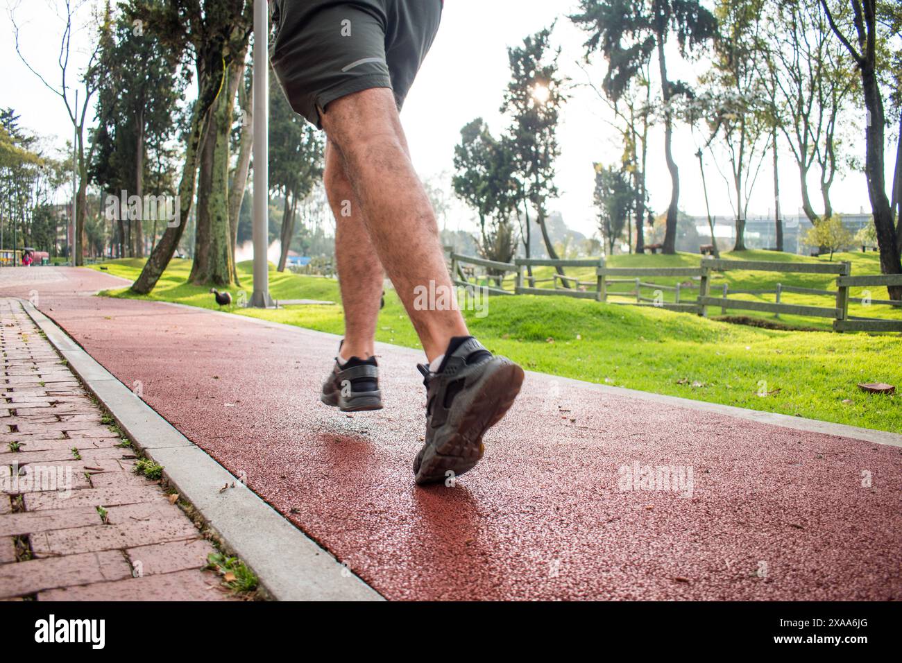 A man jogging on a tree-lined park pathway Stock Photo - Alamy