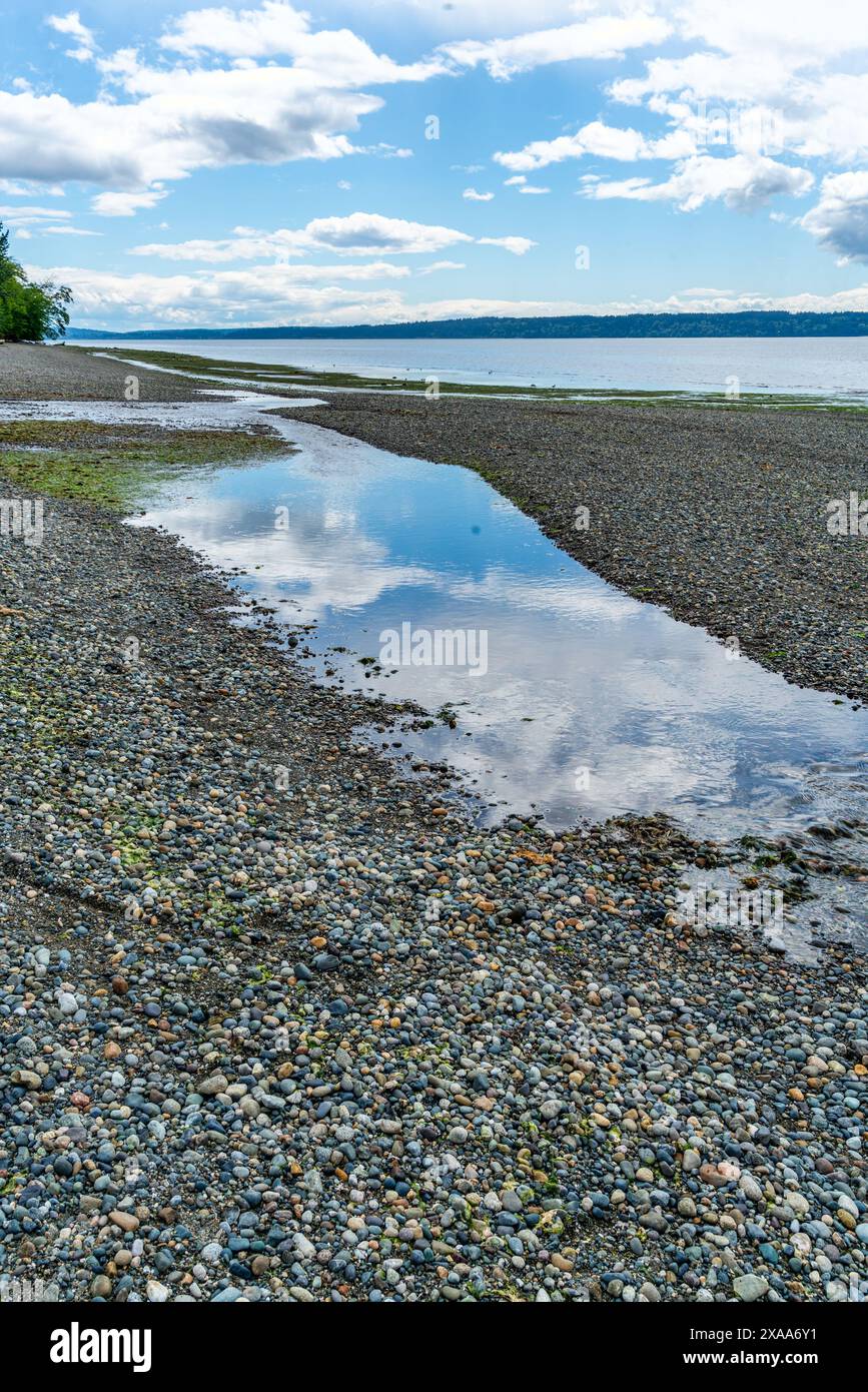 A creek flows onto the shoreline at Seahurst Beach Park in Burien ...