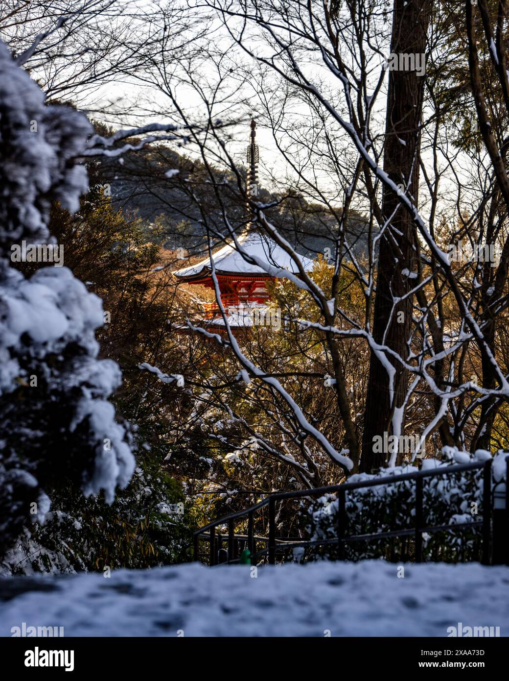 The view of Kiyomizudera Koyasunoto Pagoda surrounded by lush trees in ...