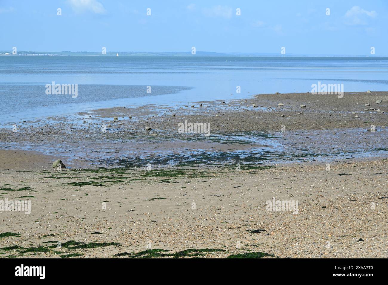 Incoming tide at Southend on Sea on the 5th June 2024 Stock Photo - Alamy