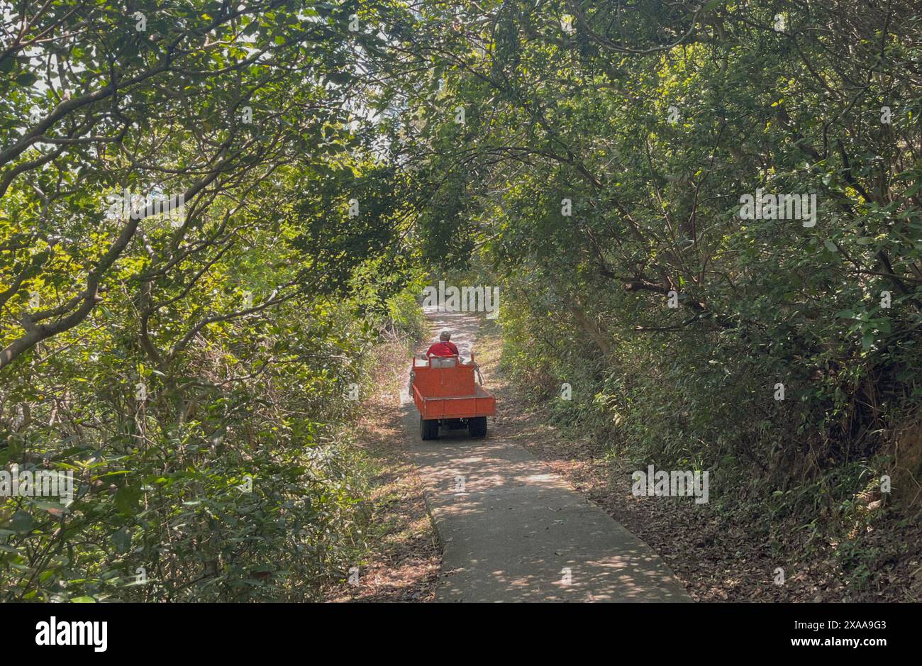 Small red car driving on a dirt road surrounded by trees Stock Photo ...