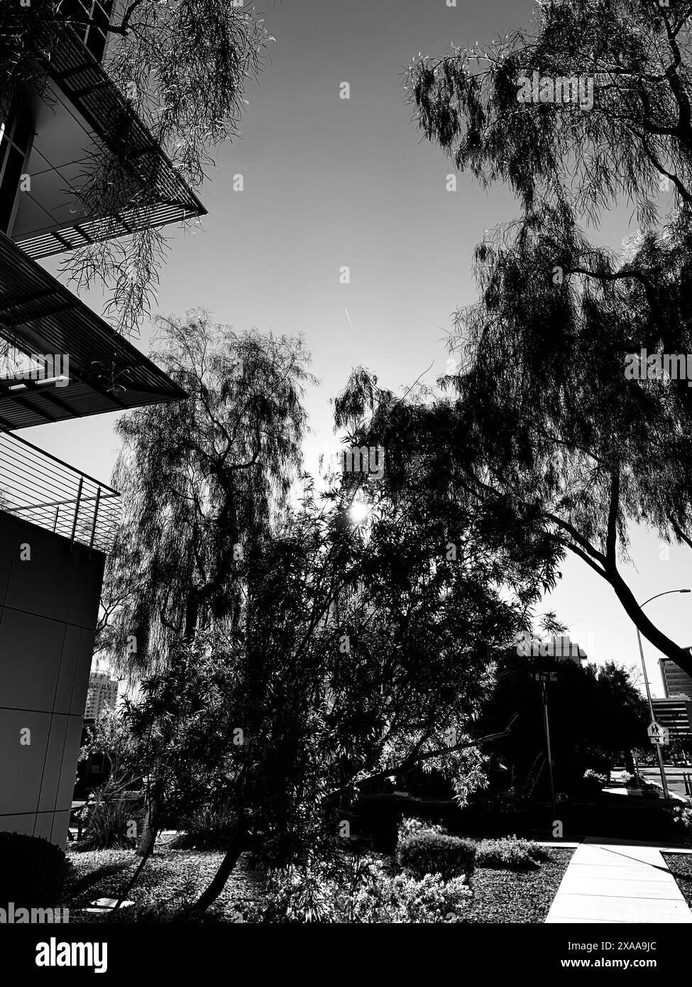 Monochrome architecture hi-res stock photography and images - Alamy