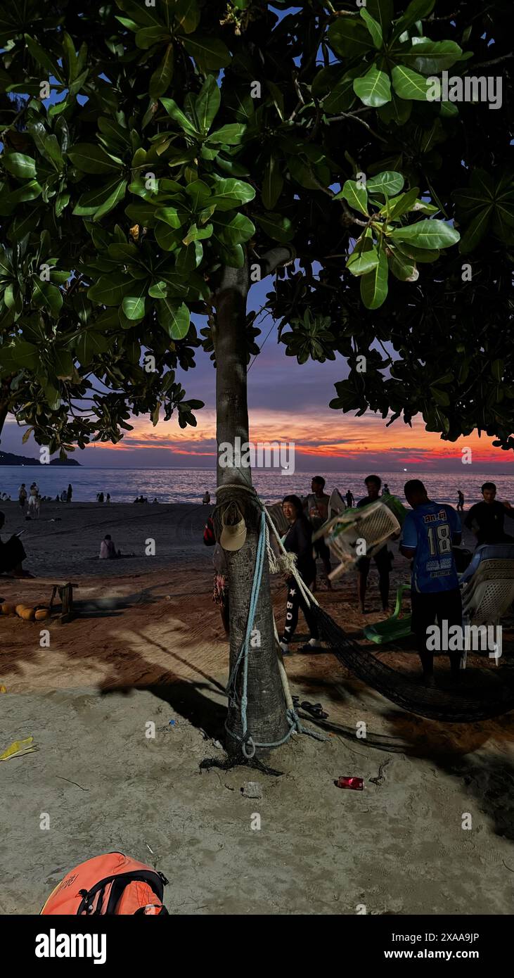 Several people relaxing under a tree on sandy beach near ocean Stock ...