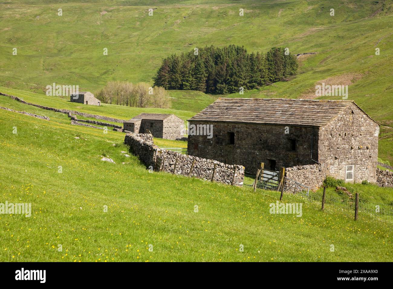 Harrop Barns in Yorkshire Dales meadows in summer, in the valley of ...