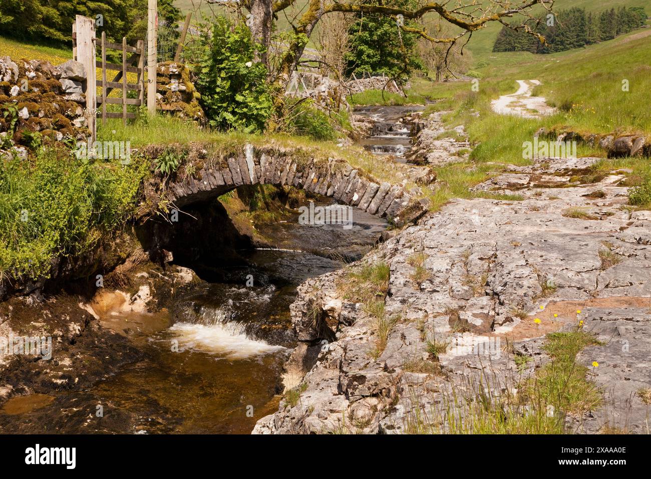 An old stone footbridge over Cosh Beck, upper Littondale, in the ...