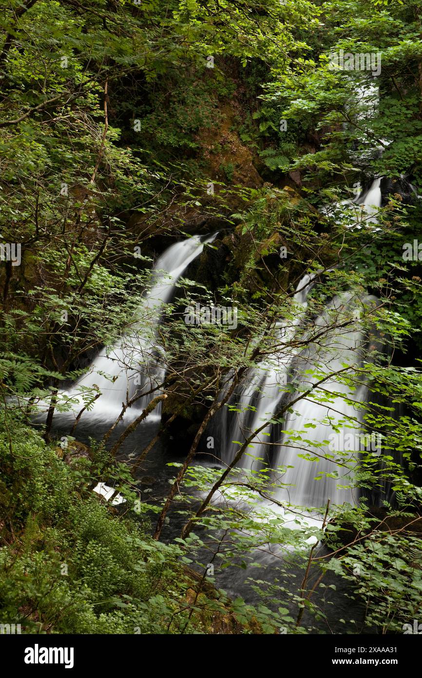 The waterfall of Colwith Force in Langdale, in the English Lake ...