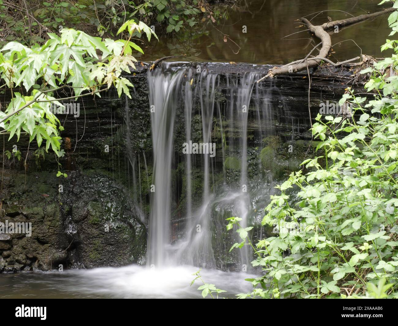A picturesque waterfall cascading beneath lush trees next to a serene ...