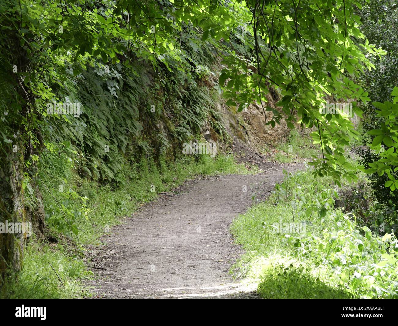 Narrow winding pathway hi-res stock photography and images - Alamy
