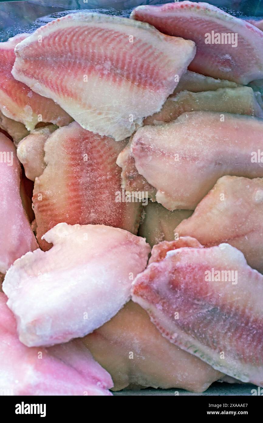 raw pieces of frozen fish fillet on the counter in a store. Top view ...