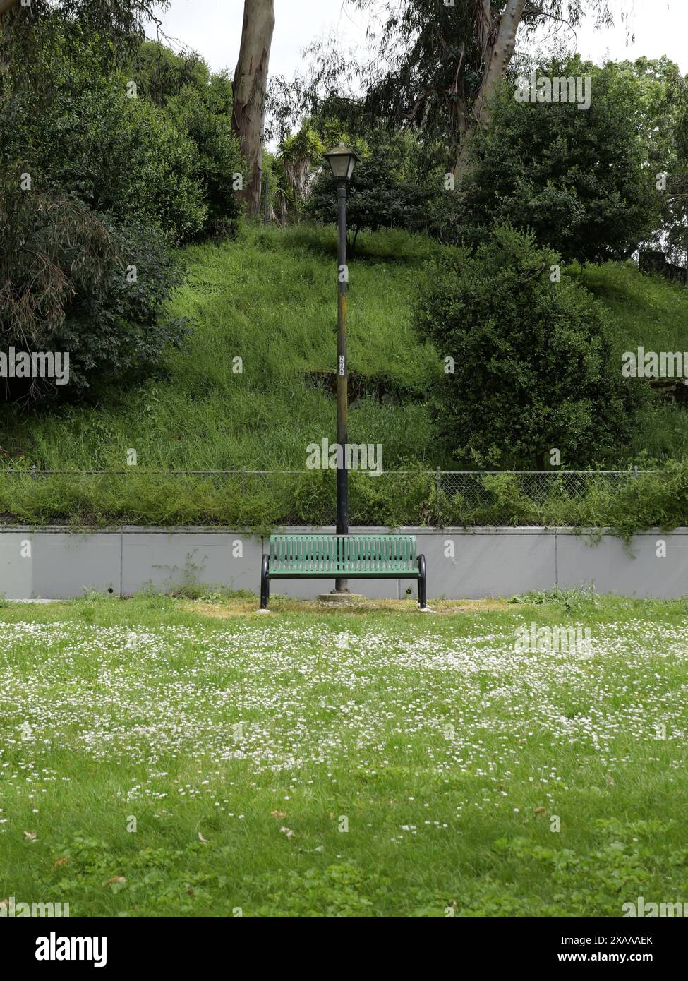 A park bench and light pole in front of the grass flower field Stock ...