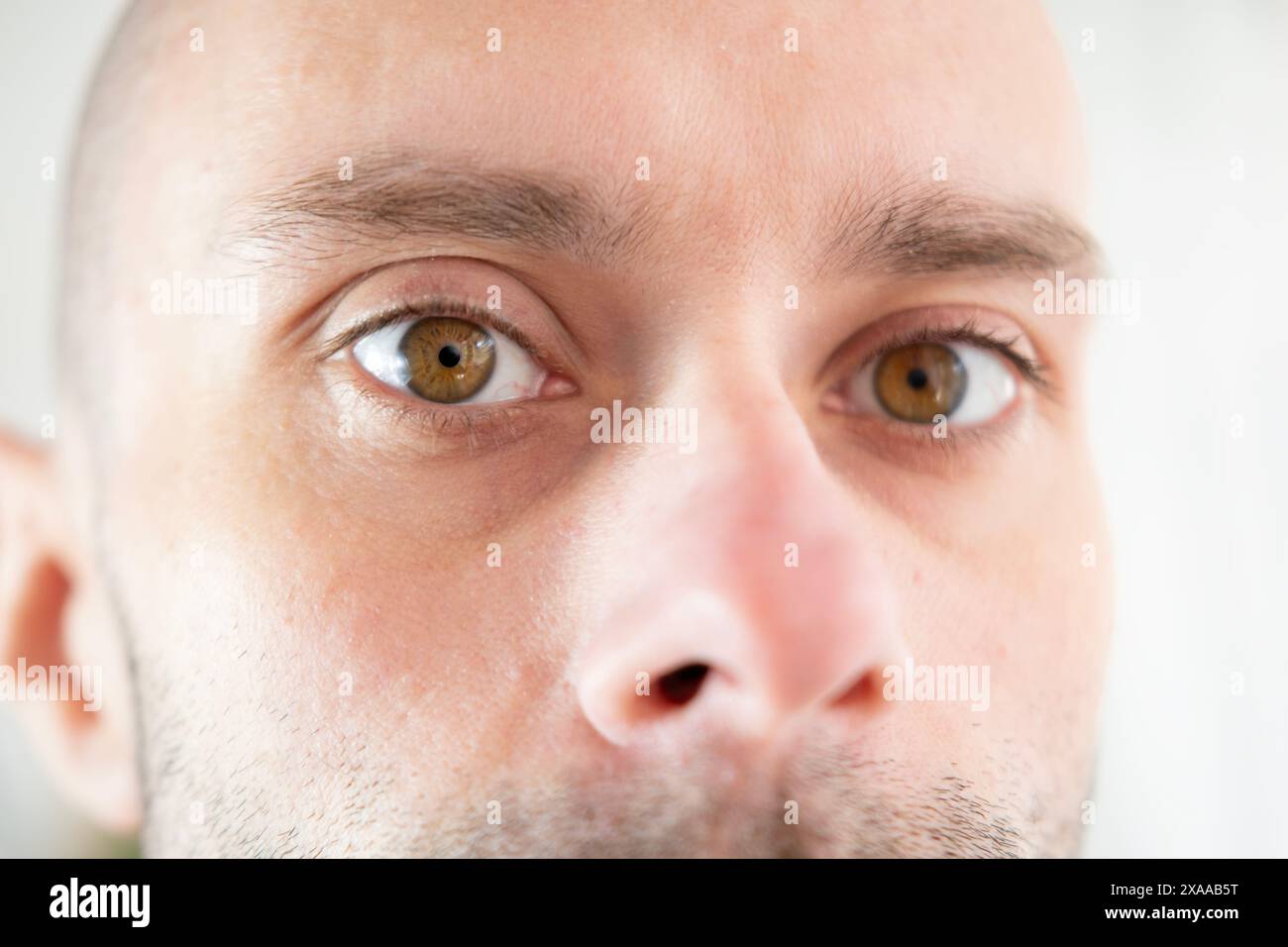 Male Brown Eyes close-up, young Caucasian man looking, Masculine beauty ...