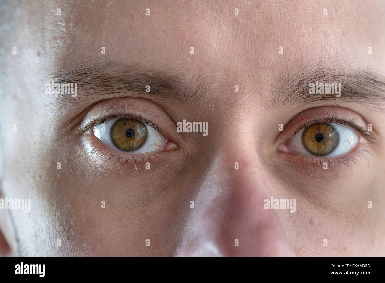 close up part male face, young man 25-30 years old, human eye looking ...