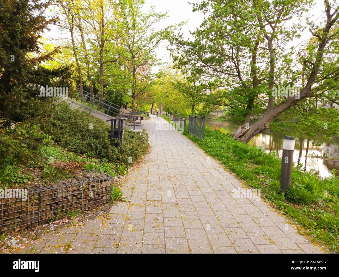 A brick path winding through trees alongside a waterway Stock Photo - Alamy