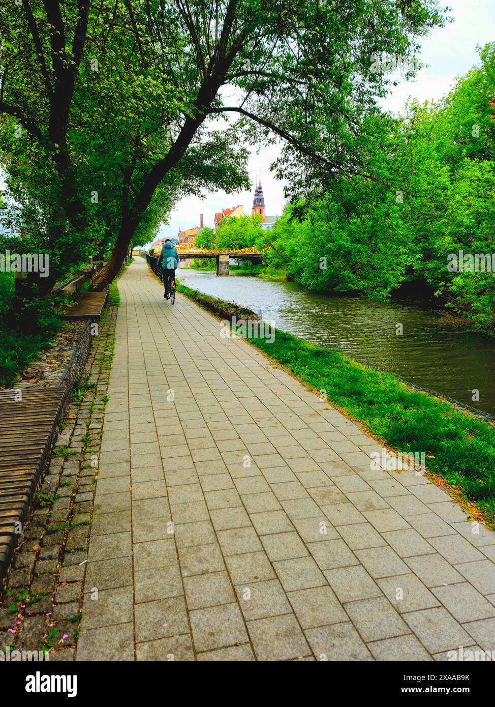 A person cycling beside a river lined with trees Stock Photo - Alamy