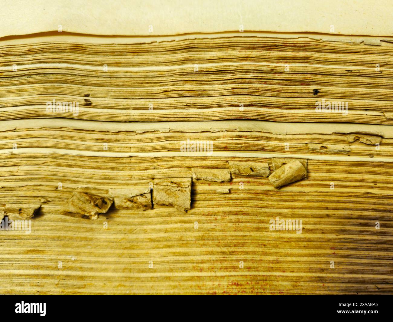 An old book with pages peeling off Stock Photo - Alamy