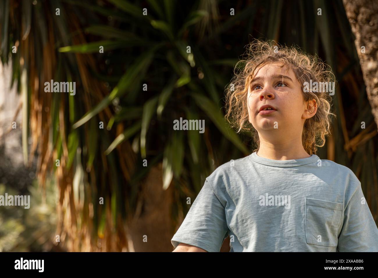boy with golden dreadlocks smiles in the sun in the park. A scene full ...