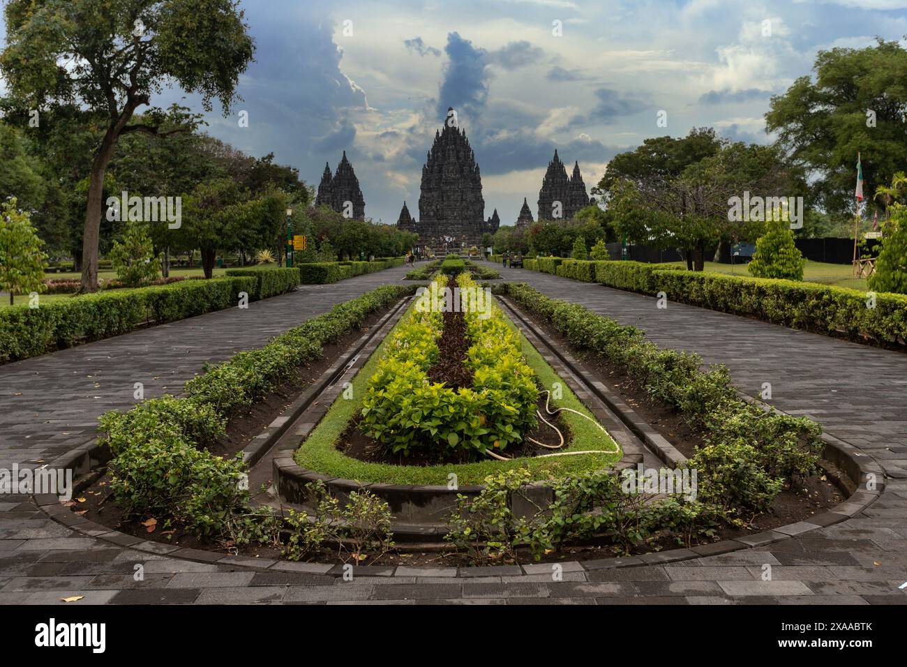 Greenery and trees hi-res stock photography and images - Alamy