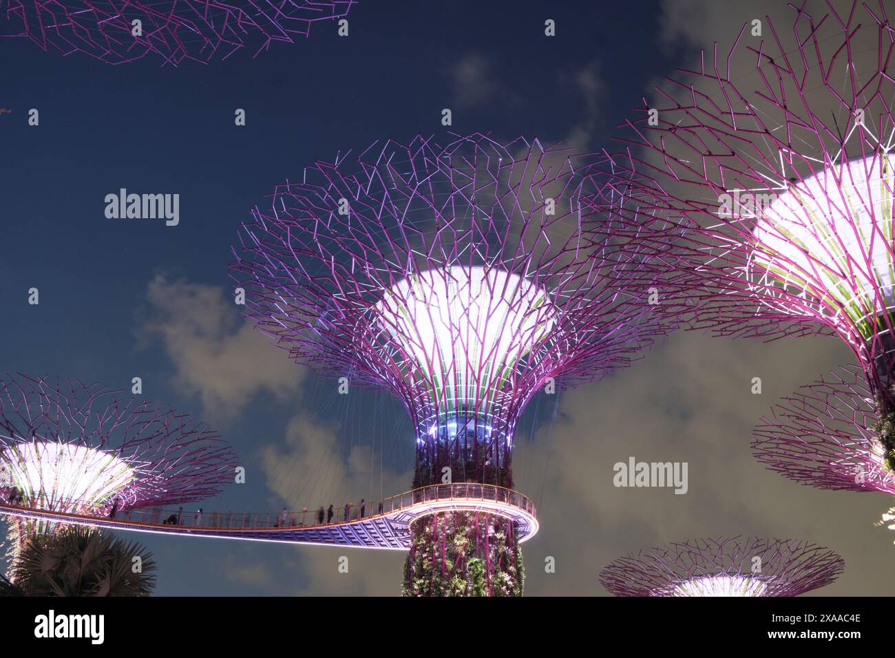 Gardens by the bay, 50 metre tall artificial trees during the light ...
