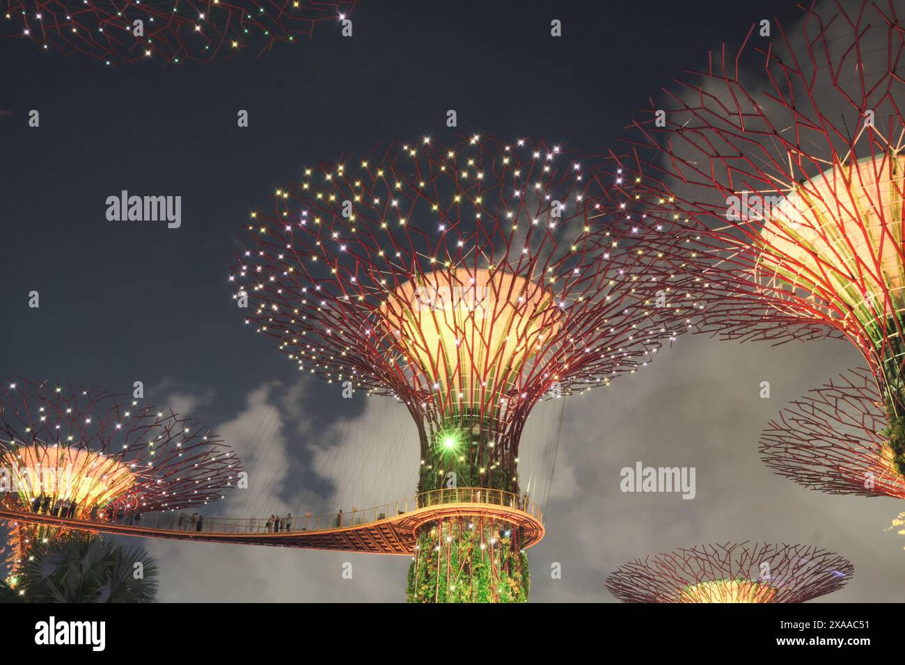 Gardens by the bay, 50 metre tall artificial trees during the light ...