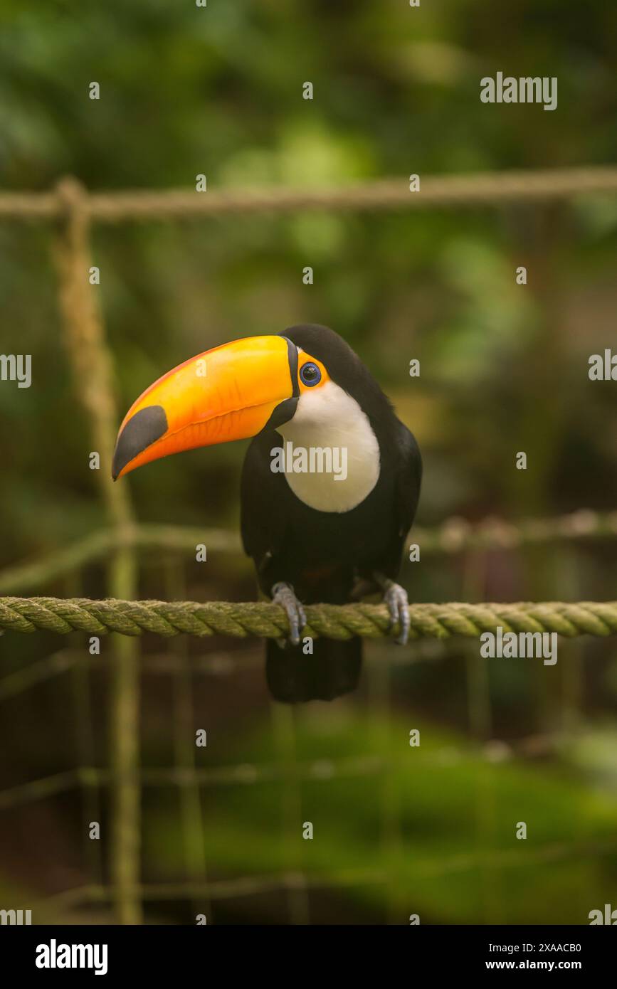 Outdoor rope hi-res stock photography and images - Alamy