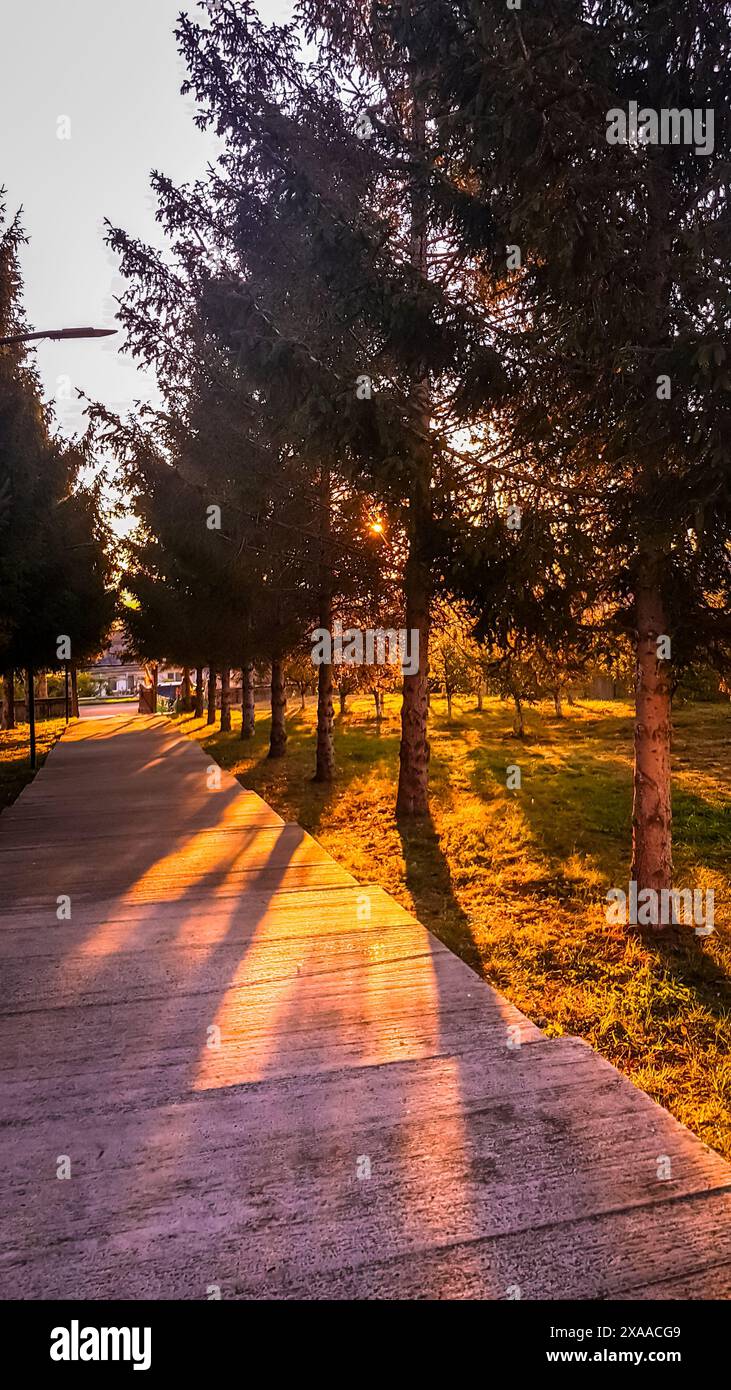 Empty pathway amazing walkway hi-res stock photography and images - Alamy