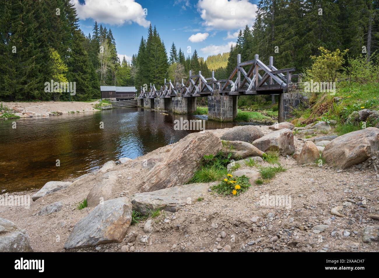 A narrow bridge crossing a broad river in a dense forest with abundant ...