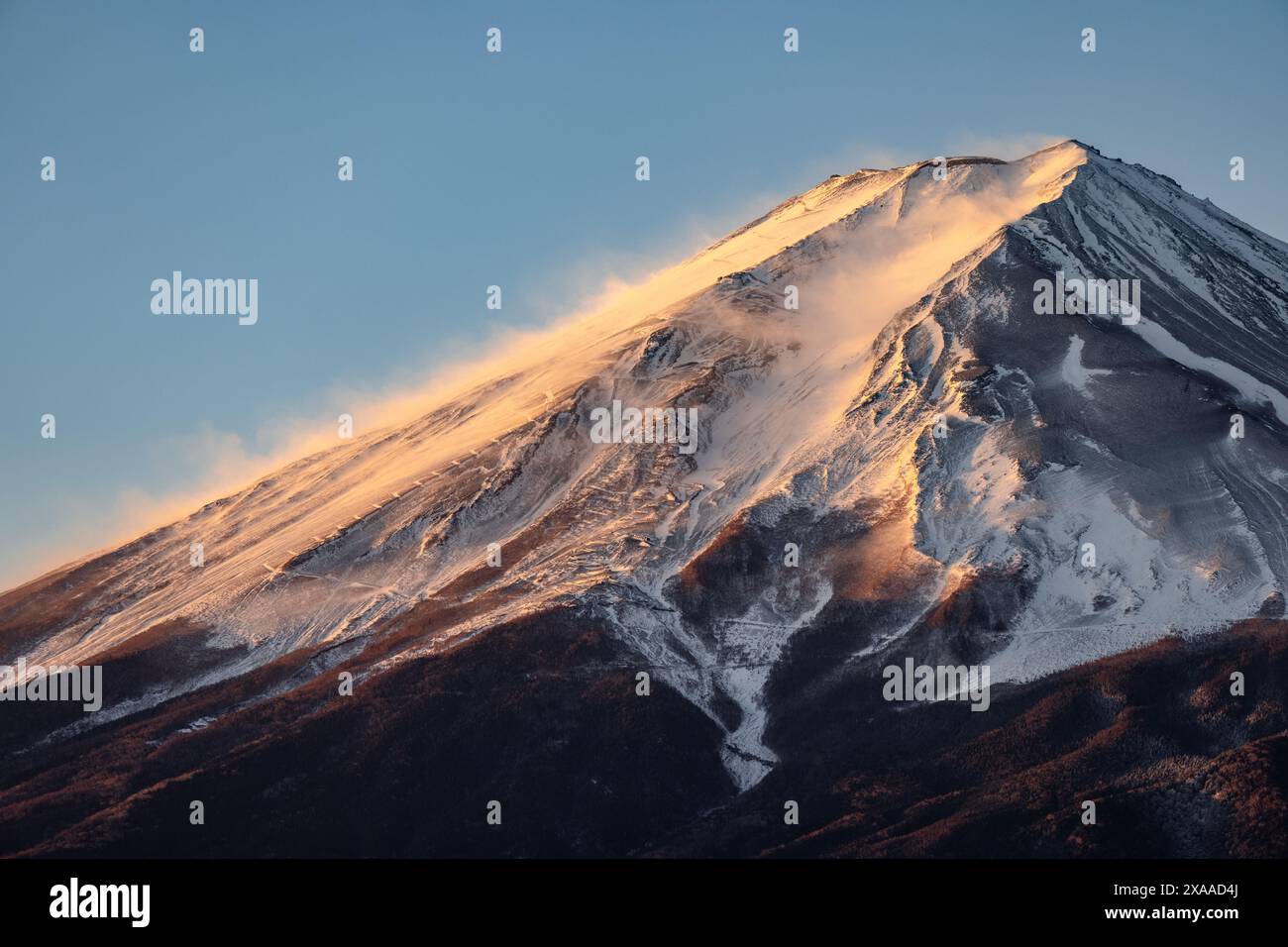 A winter sunrise view of Mount Fuji with forest in the foreground from ...