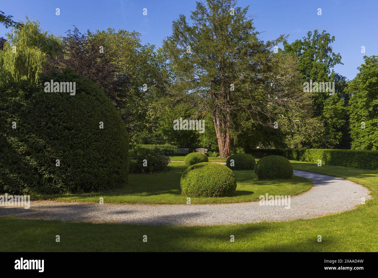 photo of a cosy corner of the park with a path, trees and shrubs on a ...