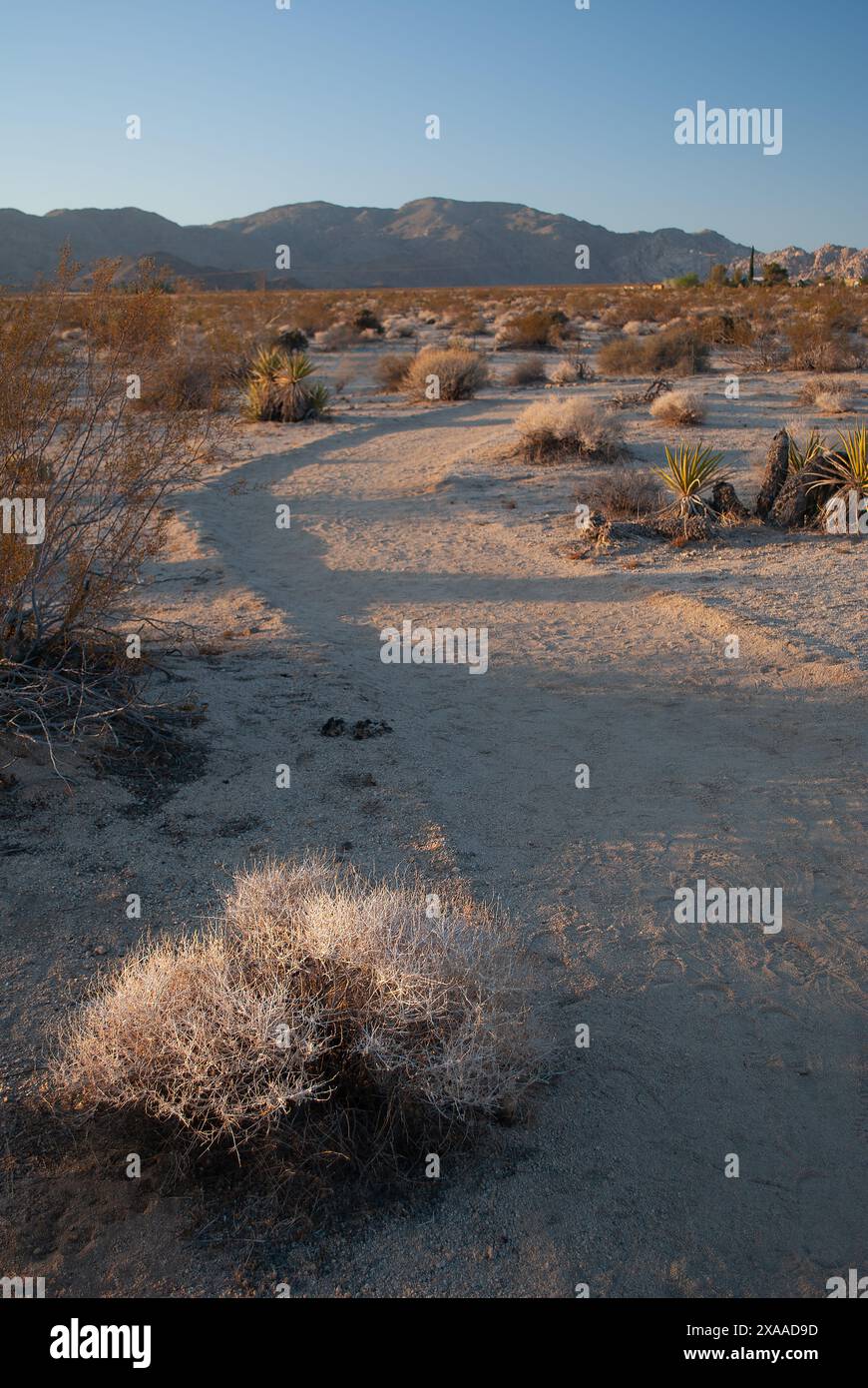 An arid landscape with bushes and mountains in the High Desert ...