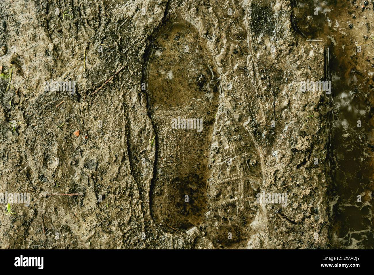A horizontal photo of a footprint in the mud Stock Photo - Alamy