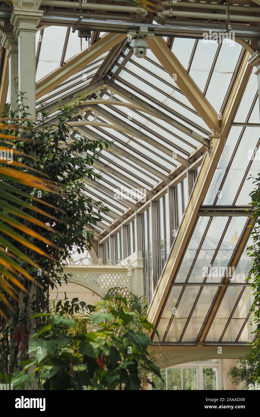 A glass atrium filled with lush green foliage and plants Stock Photo ...