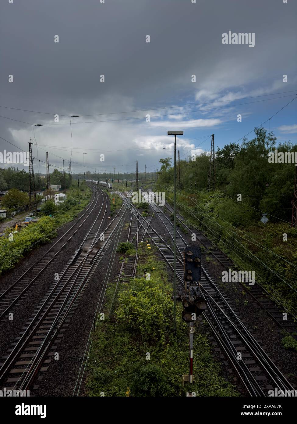 The parallel train tracks with overhead wires surrounded by lush ...