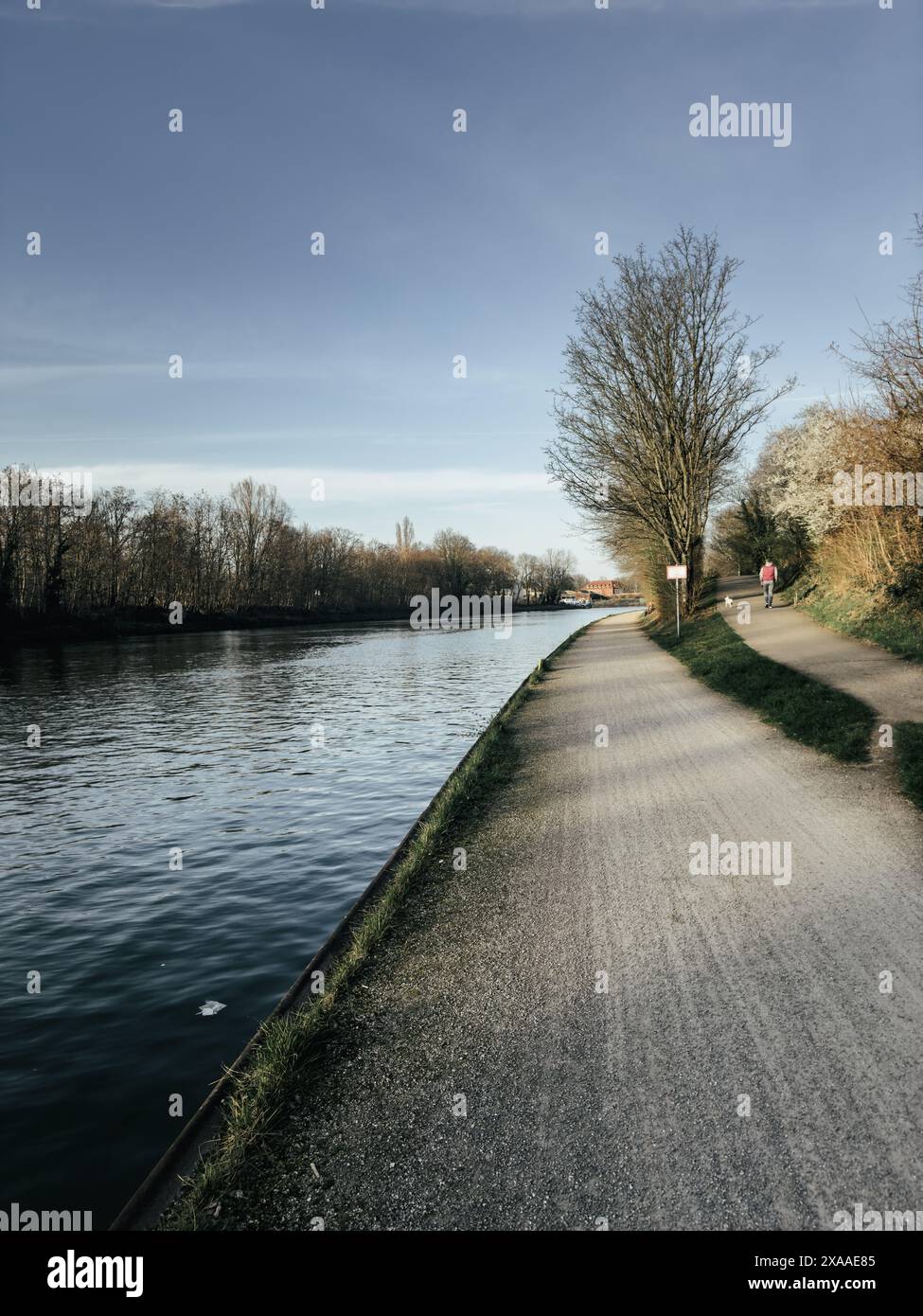 A scenic trail beside a river with trees Stock Photo - Alamy