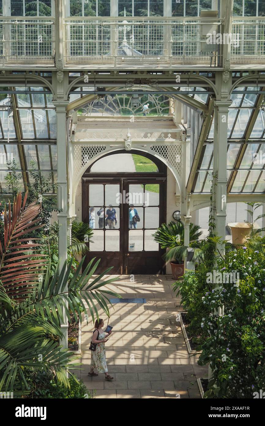 An Atrium with walkways, glass panels, tall plants and arched ceiling ...