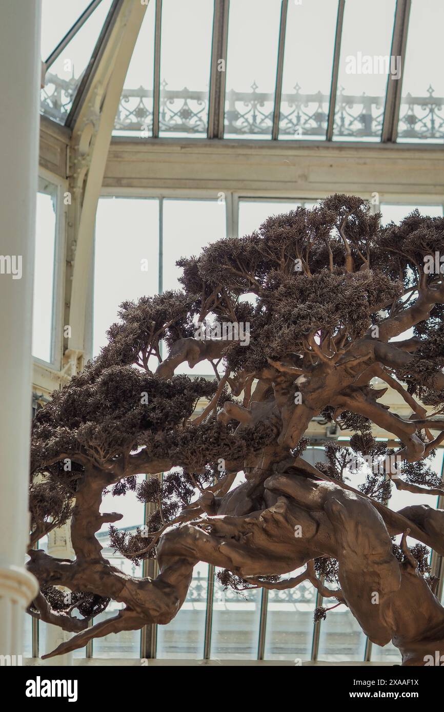 A towering tree stands inside a tall building in a lobby Stock Photo ...