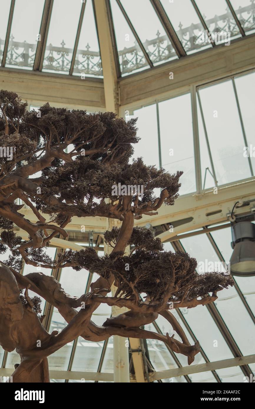 A beautiful brown tree in an architectural indoor setting Stock Photo ...