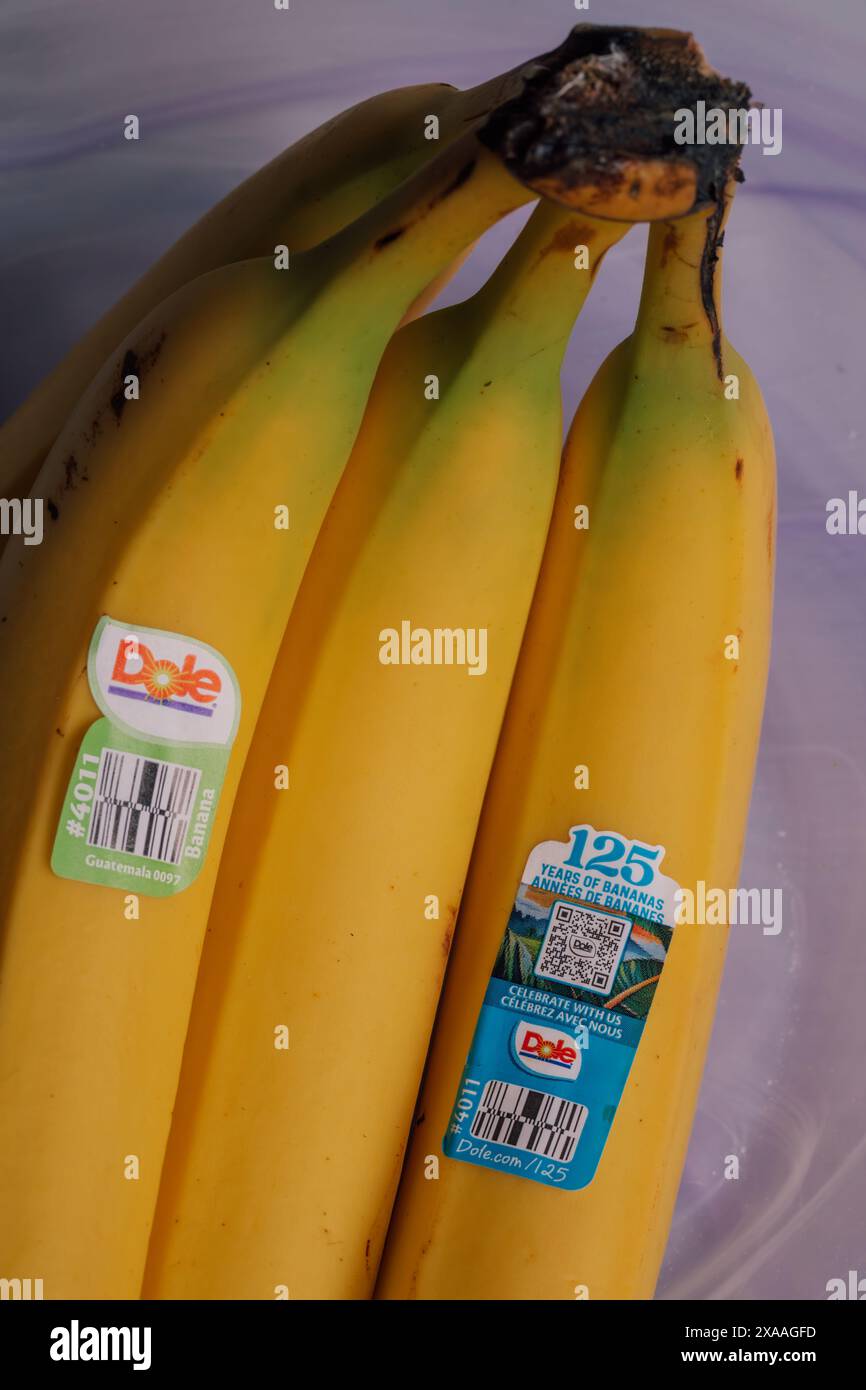 yellow Dole banana bunch with PLU bar code sticker, 125 year ...