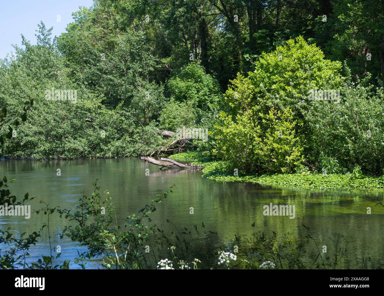 Chalk water hi-res stock photography and images - Alamy