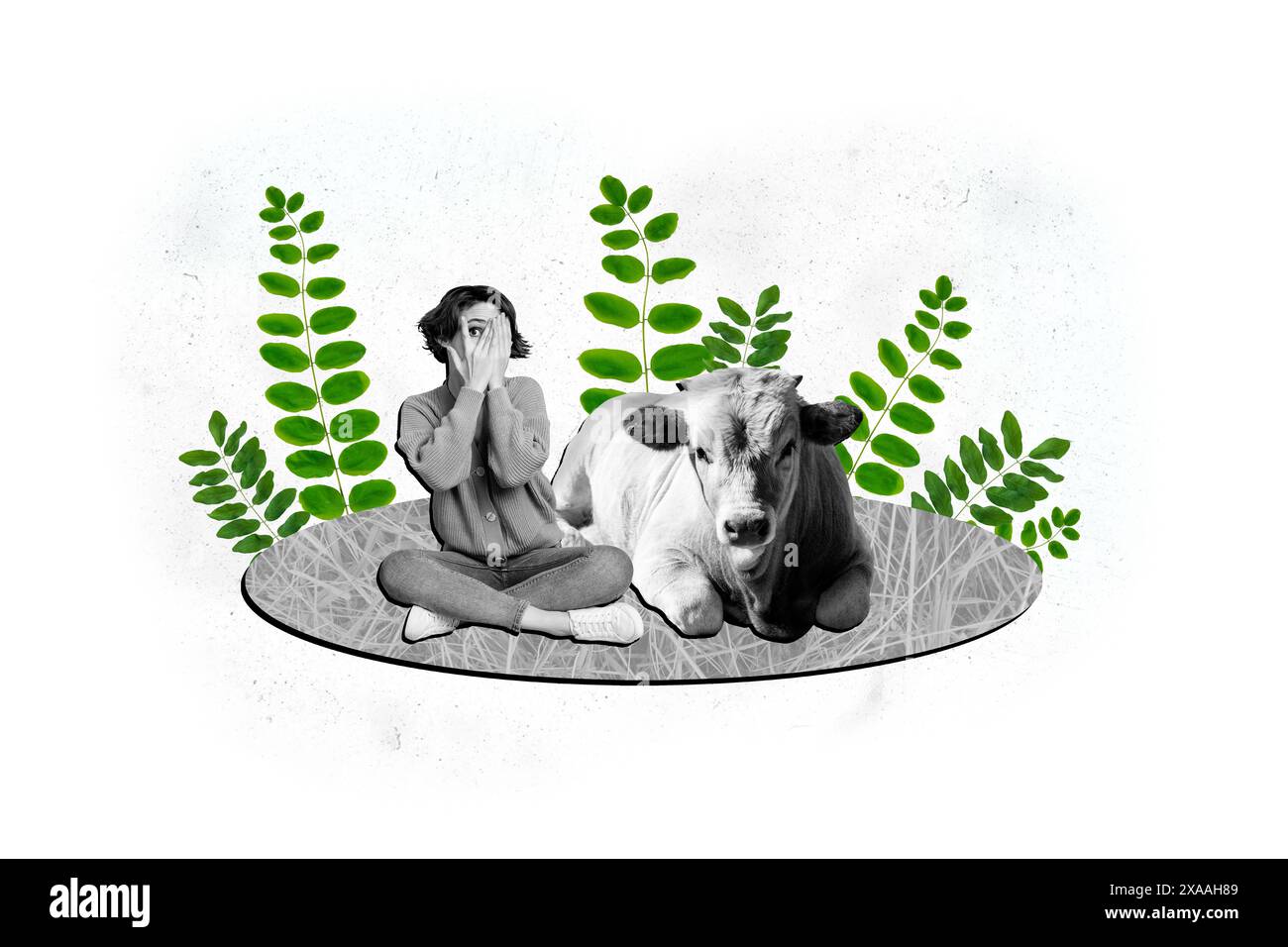 Creative abstract template collage of young female sit amazed cow ... Creative abstract template collage of young female sit amazed cow ...